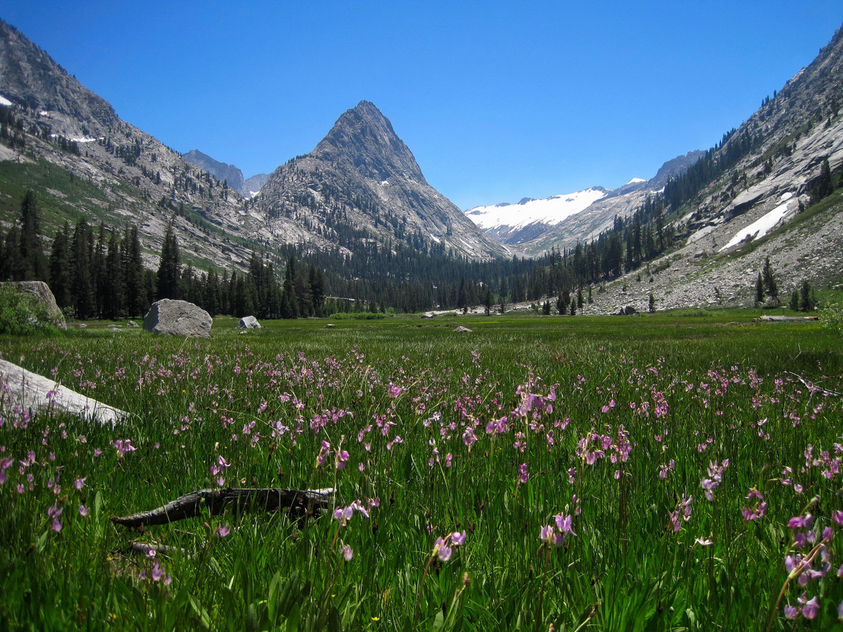Whaleback, Cloud Canyon & Big Wet Meadow – Leor Pantilat's Adventures